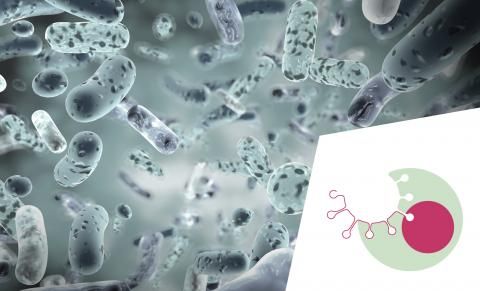 Viral Infections & Inflammation Workshop 2022