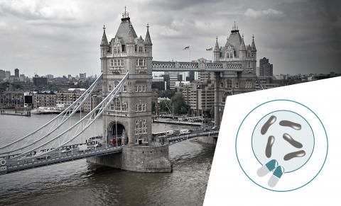International Workshop on Clinical Pharmacology of Tuberculosis Drugs 2015